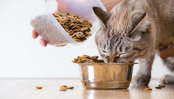 Animal Nutrition | Home Page